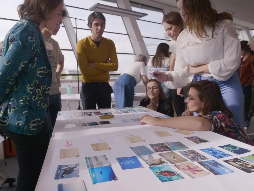 La Fresque Océane - La mer en commun | Ministère de la Transition ...